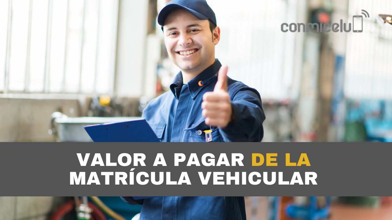 SRI Consultar valor a pagar Matrícula Vehicular ANT - Conmicelu